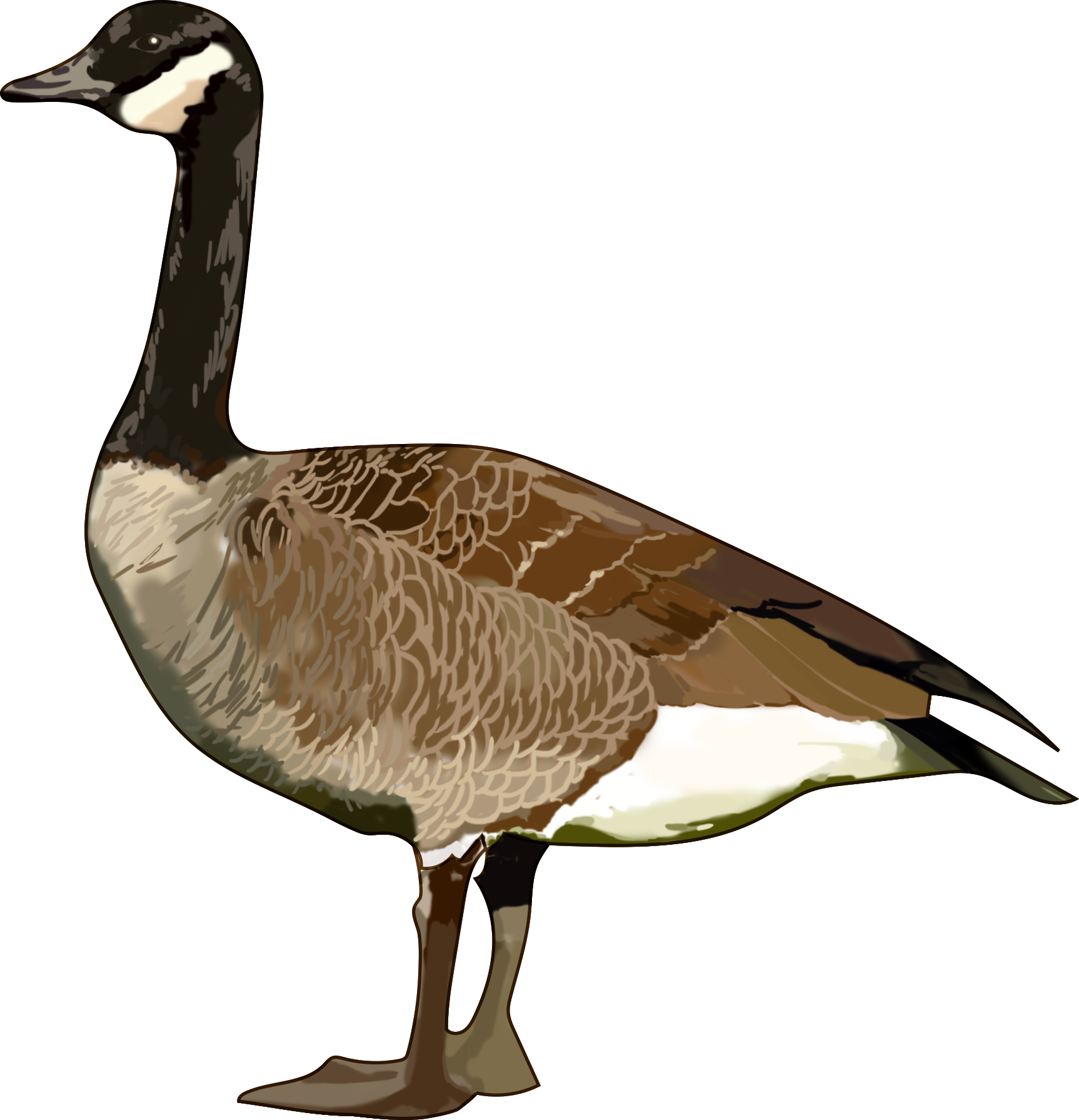 Buncee - Animal Classification for Science Class