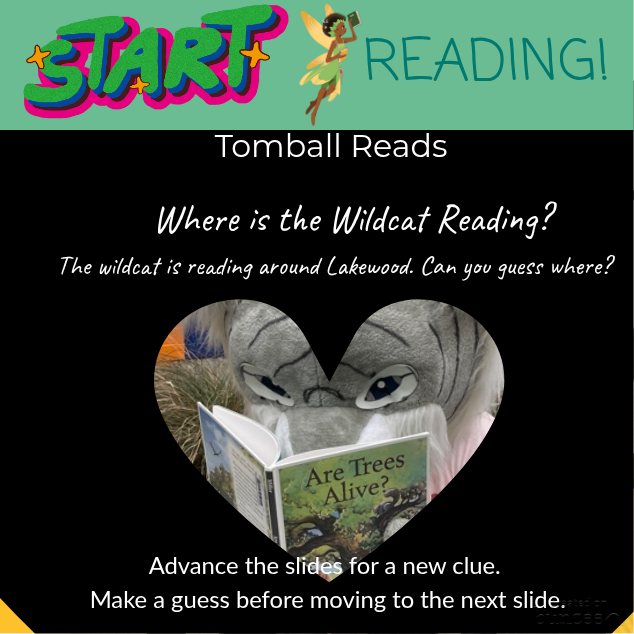 Create - Start Here: Where is the Wildcat Reading?