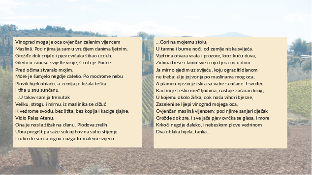 Create - Vladimir Nazor, Maslina